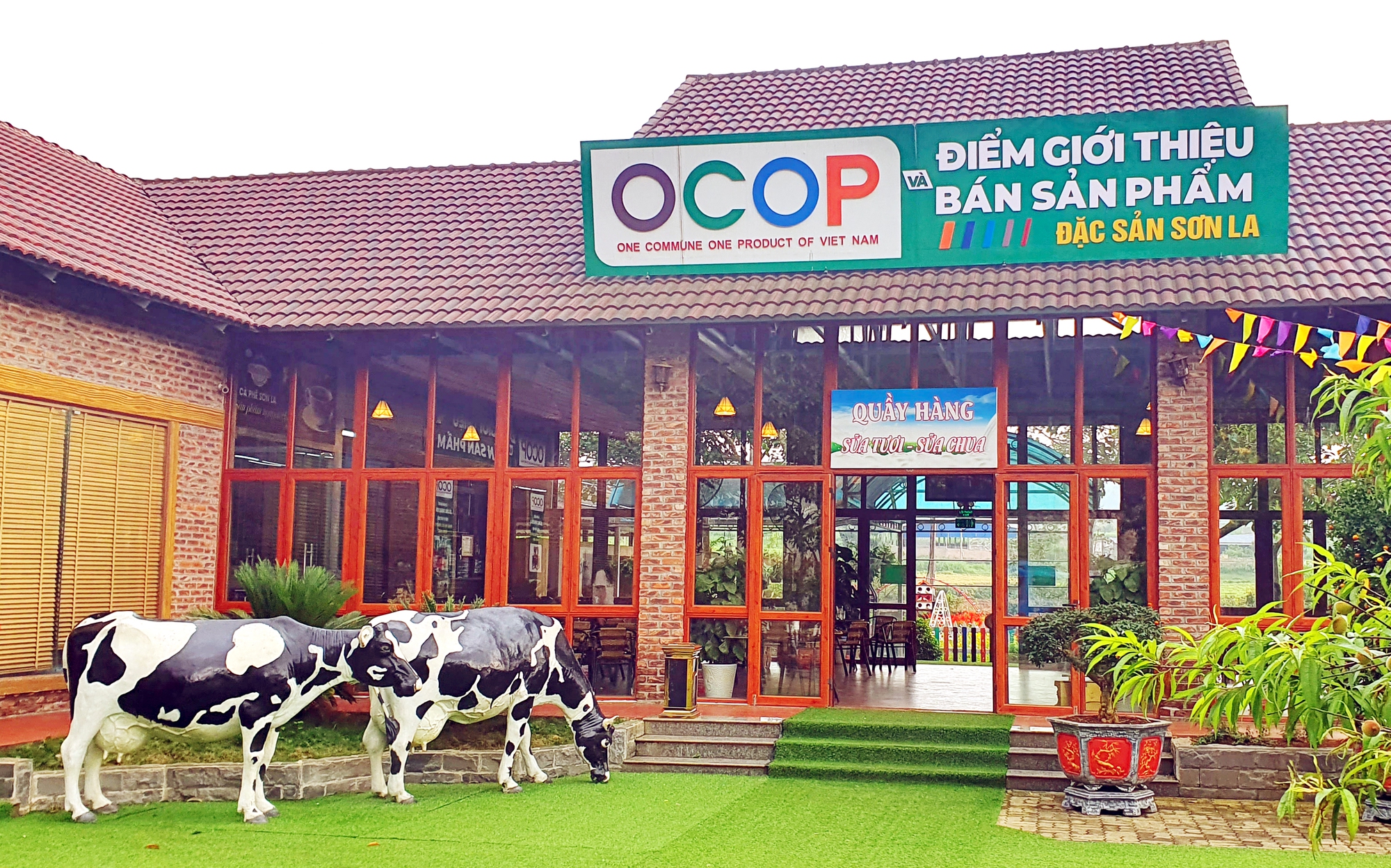 Cần có chiến lược tiếp thị sản phẩm OCOP - DNTT online