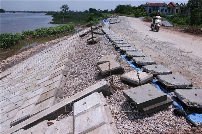 Nghệ An: Đẩy nhanh tiến độ thực hiện kế hoạch duy tu, bảo dưỡng đê điều ...