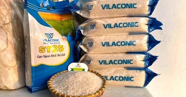 Công ty Cổ phần Vilaconic tự hào là "Doanh nghiệp xuất khẩu uy tín ...